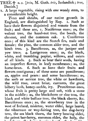 definition-tree-sm – Greetings from the Past