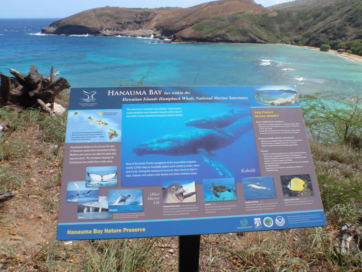 Hanauma Bay-2 – Greetings from the Past