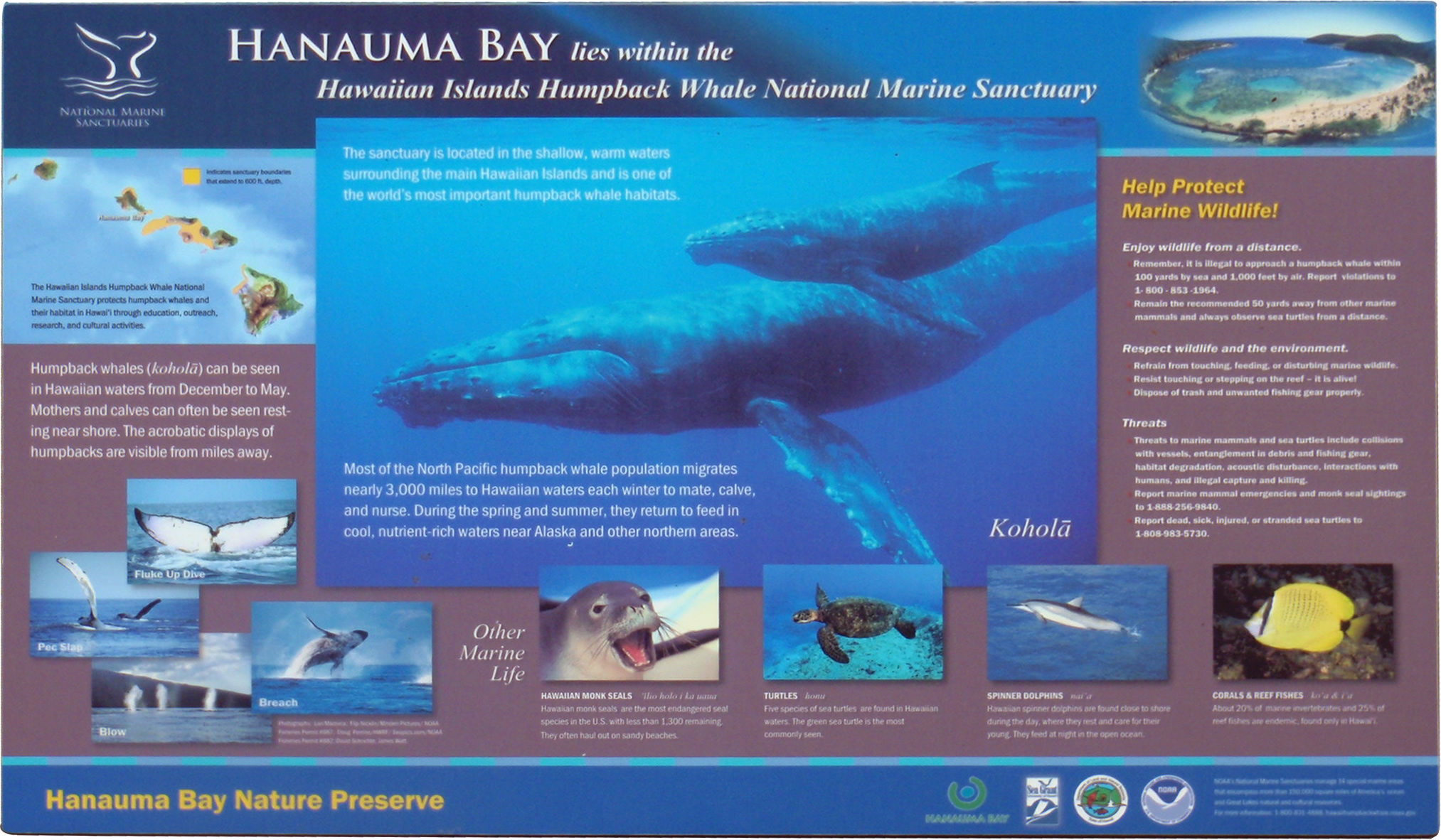 Hanauma Bay-sign – Greetings from the Past